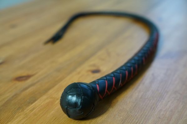 10. Dog Whip Set